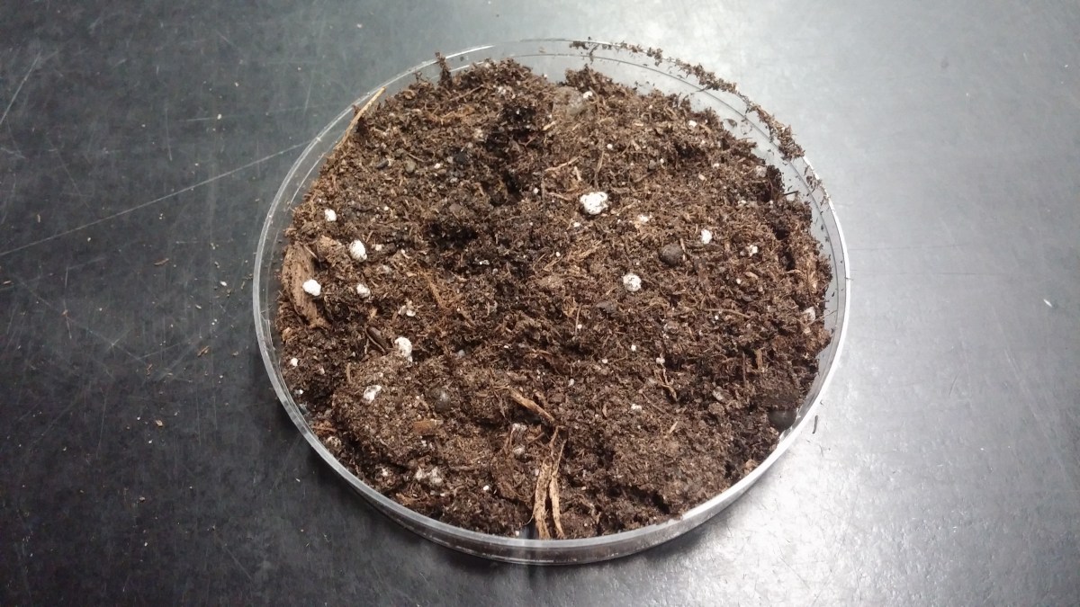 A living soil inoculum increases soil microbial diversity, crop and ...