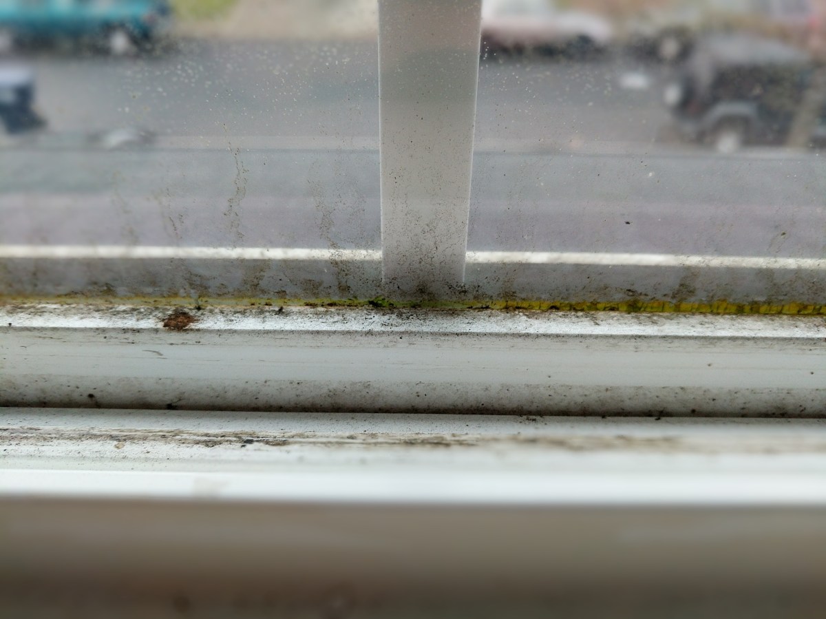 What I do for a living Part 5: The Indoor Microbiome – The Ishaq Lab