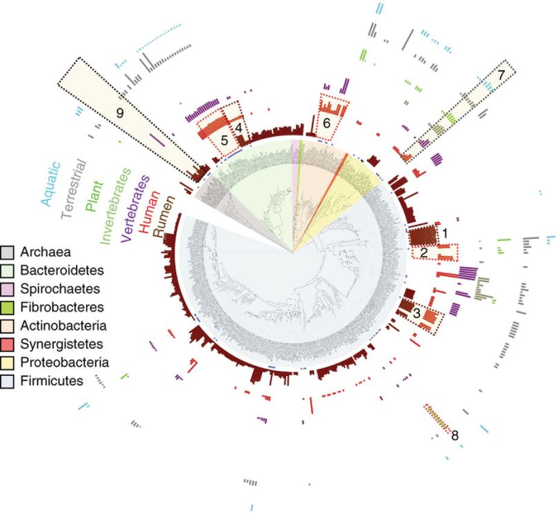The Hungate 1000 Project is now published! – The Ishaq Lab