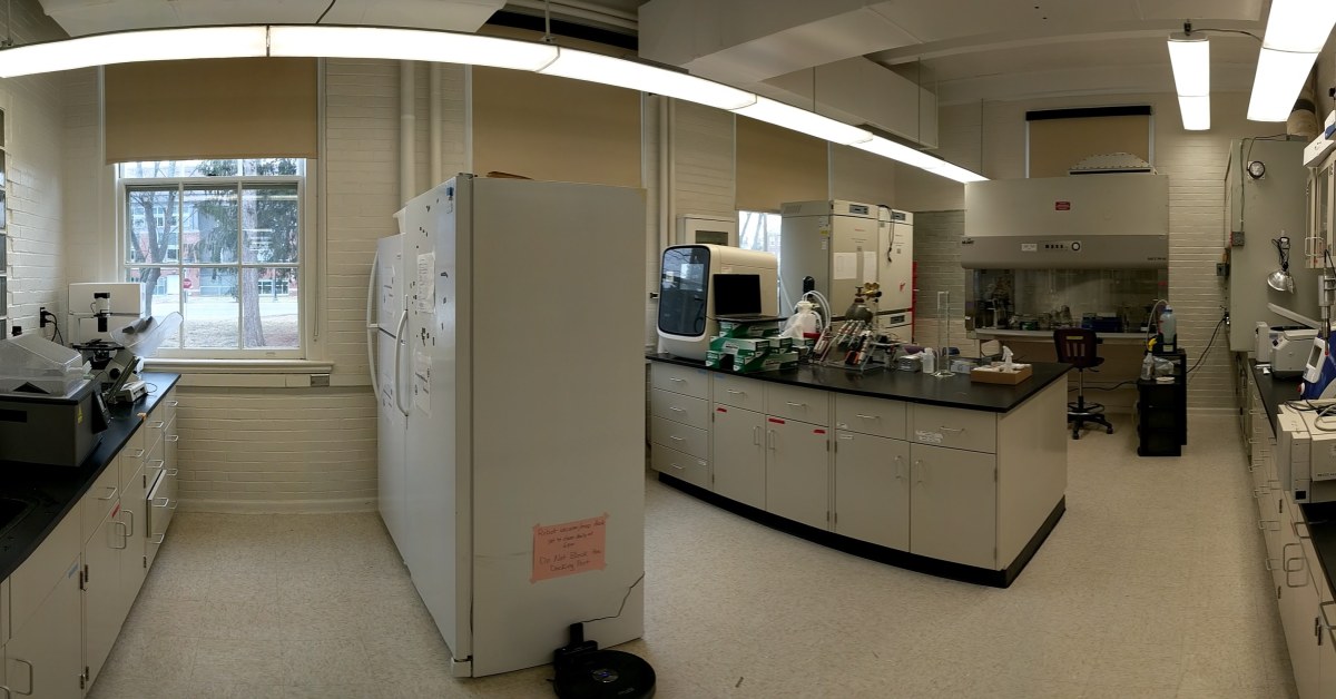 Establishing a research laboratory – The Ishaq Lab